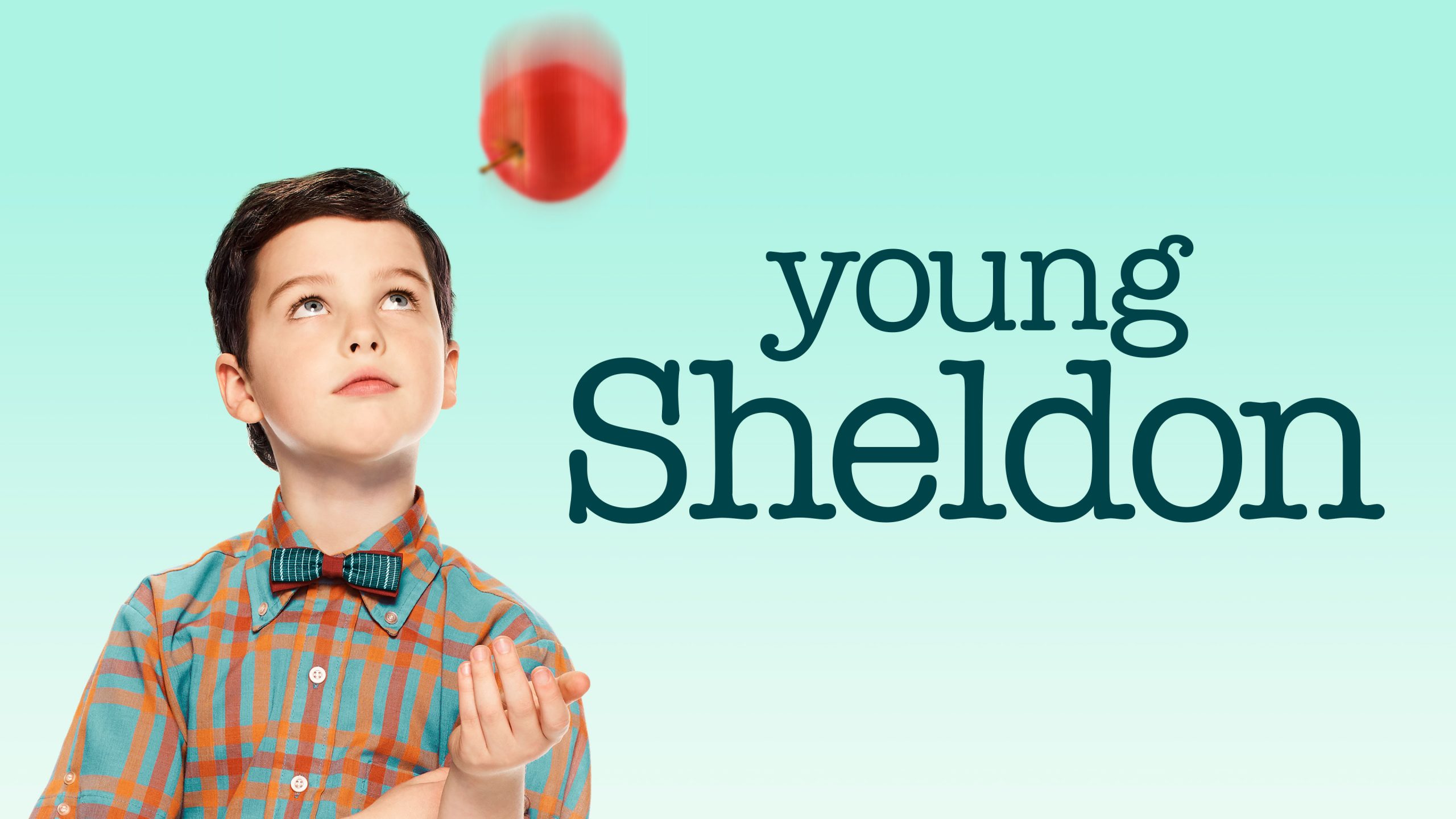 Young Sheldon : la saison 2 et le coffret saisons 1 et 2 en vidéo ...